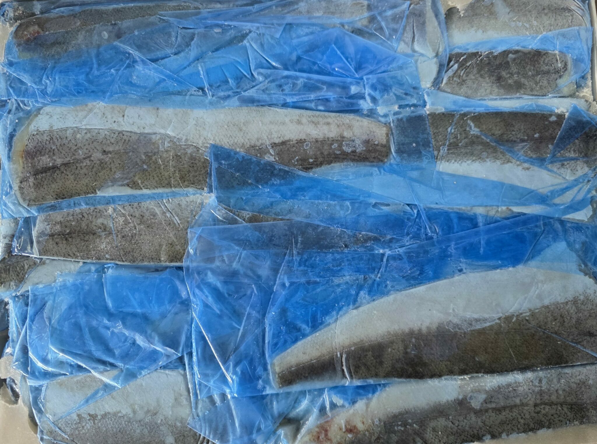 Hake Fillets 2-4 oz - Limpopo Frozen